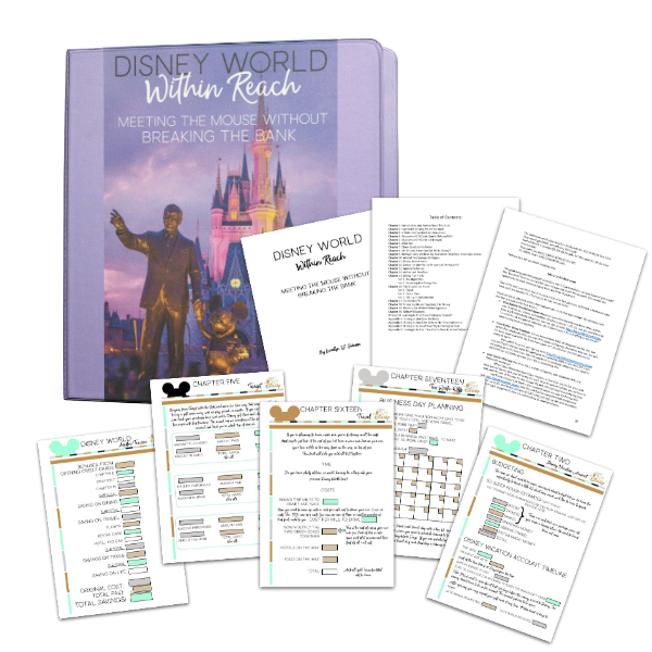 Disney World Within Reach System
